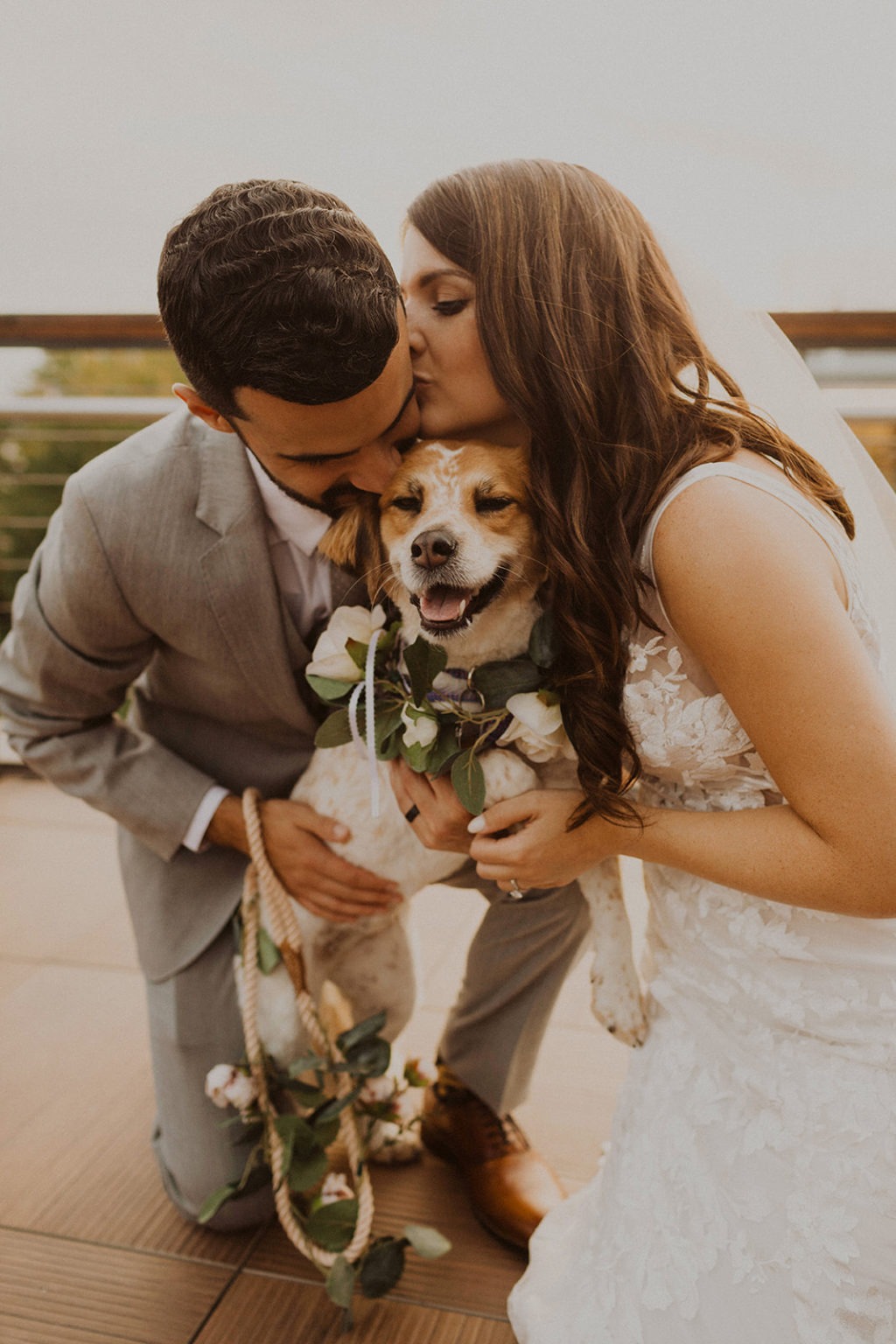 The Best Ways to Include Pets in Your Wedding | Shelly Pate Photography