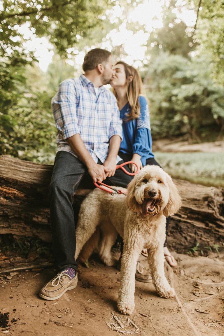 The Best Ways to Include Pets in Your Wedding | Shelly Pate Photography